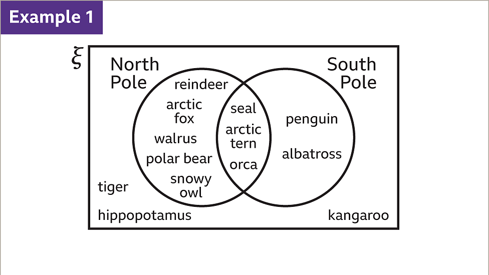 How to find probabilities from Venn diagrams - KS3 Maths - BBC Bitesize