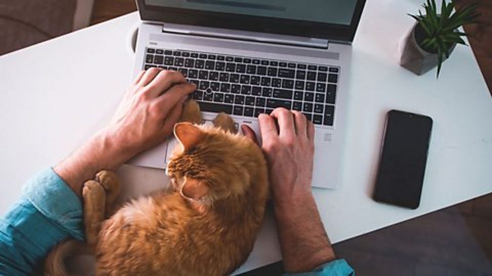 TGAU TGCh - BBC Bitesize