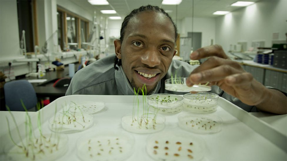 Revision guides: Life on Earth - National 5 Biology - BBC Bitesize