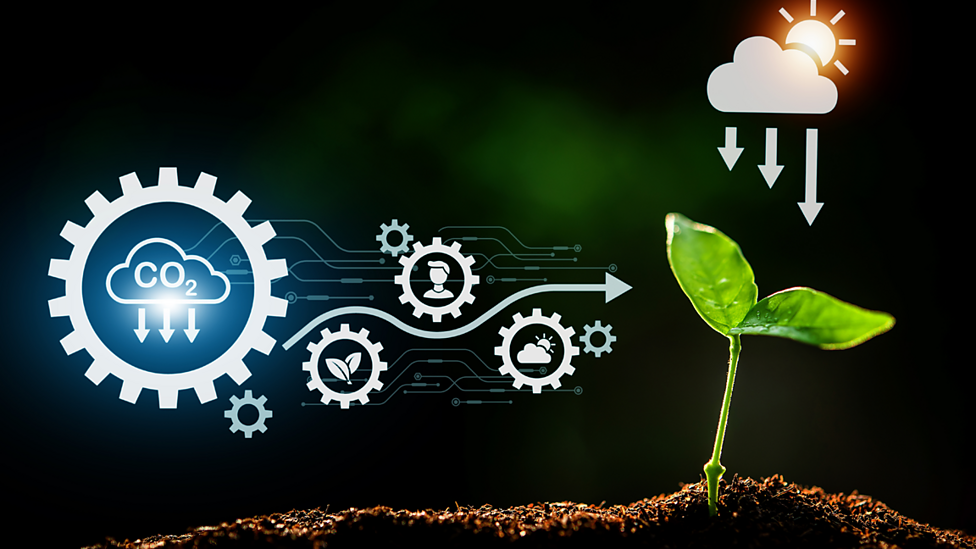 Processes of the planet - 4th level Science - BBC Bitesize