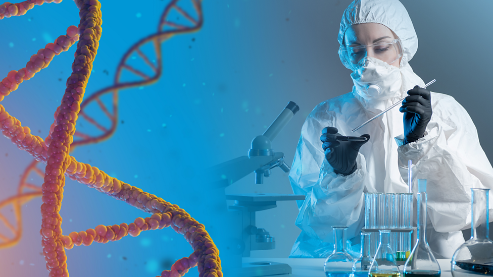 Cells - 4th level Science - BBC Bitesize Cells - 4th level Science - BBC Bitesize