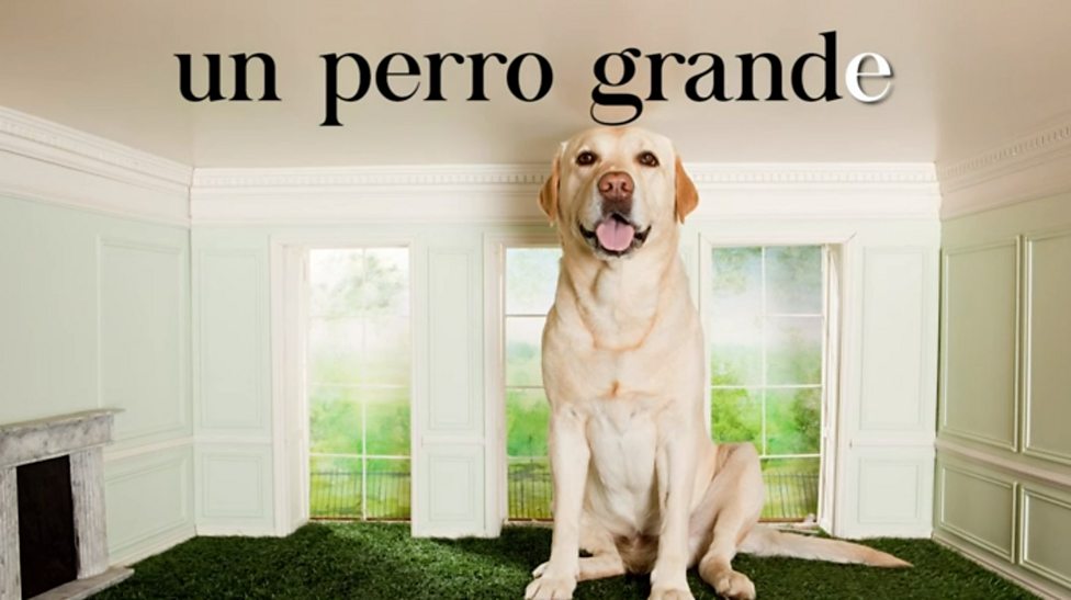 Grammar - GCSE Spanish - BBC Bitesize