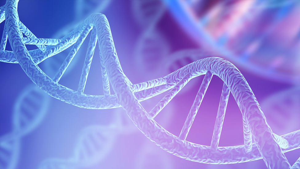 Higher Biology questions - Structure and replication of DNA - Higher ...