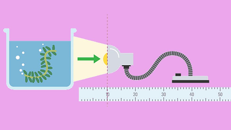 GCSE Combined Science - OCR 21st Century - BBC Bitesize
