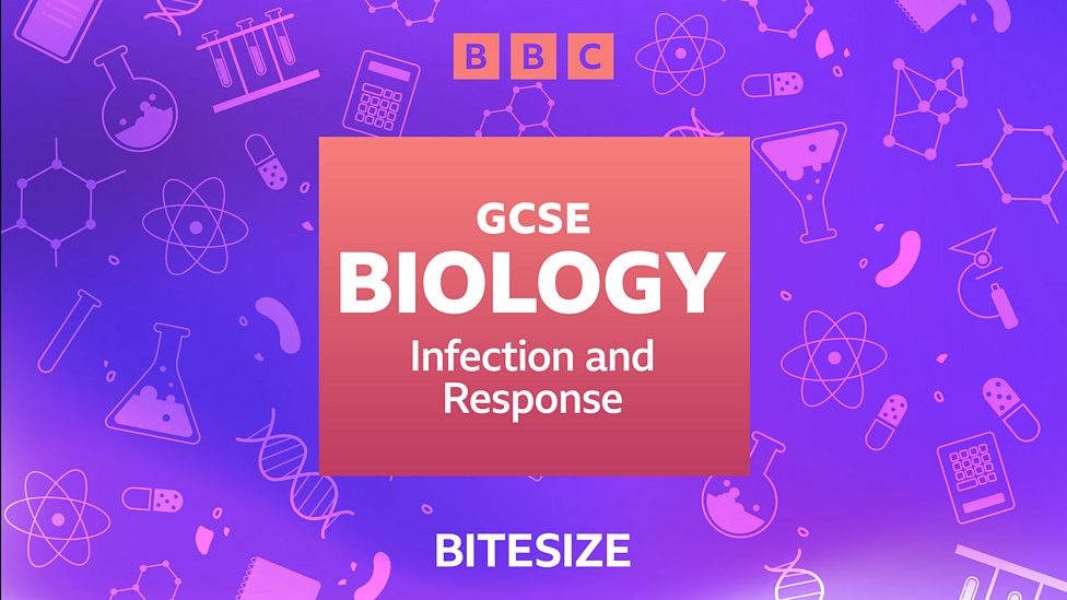 Podcasts for GCSE revision from BBC Bitesize and BBC Sounds - BBC Bitesize