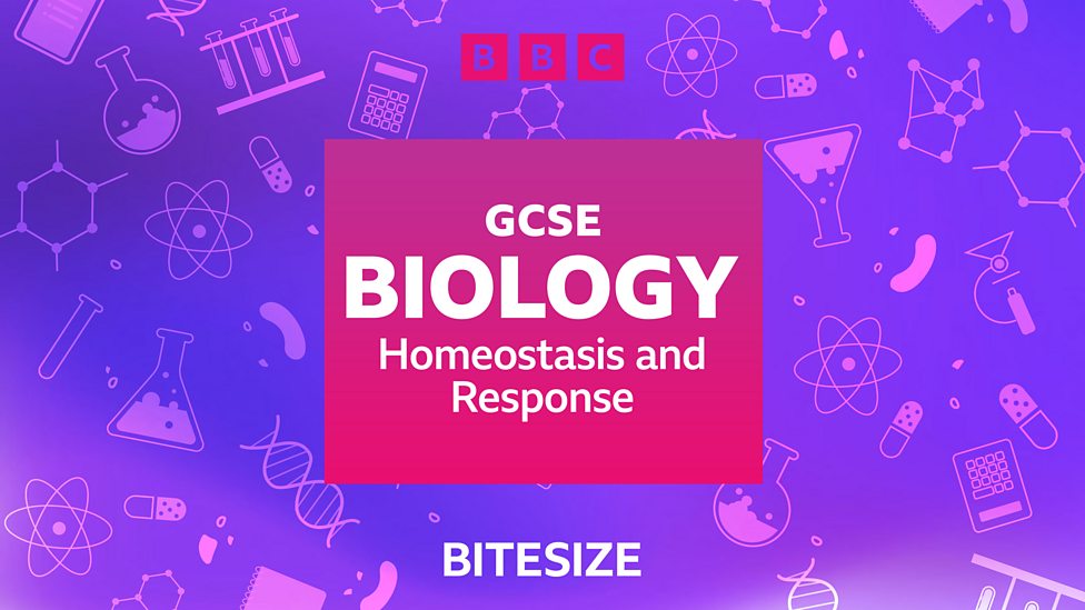 Podcasts for GCSE revision from BBC Bitesize and BBC Sounds - BBC Bitesize
