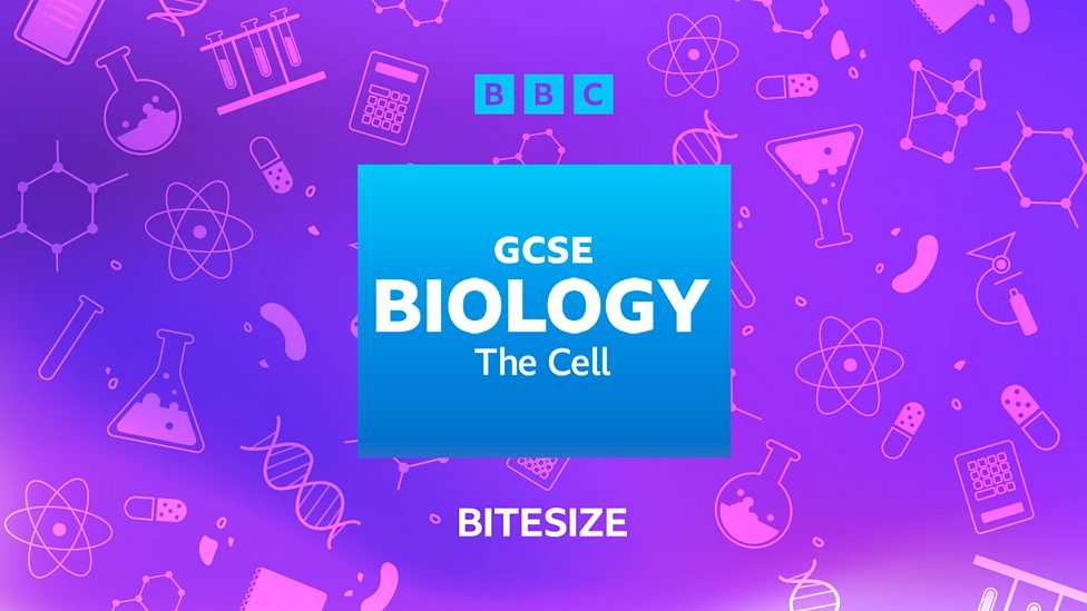 GCSE Biology (Single Science) - AQA - BBC Bitesize