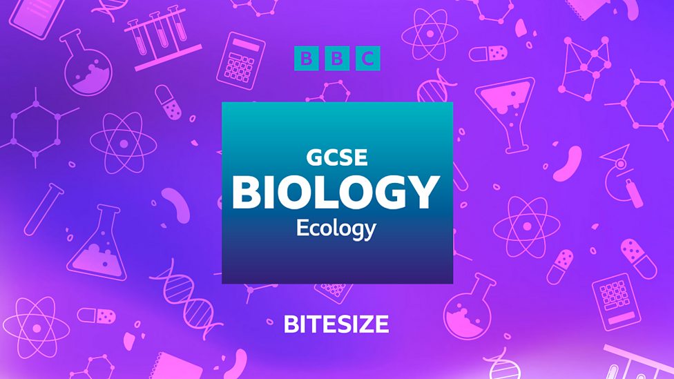 GCSE Biology (Single Science) - Edexcel - BBC Bitesize