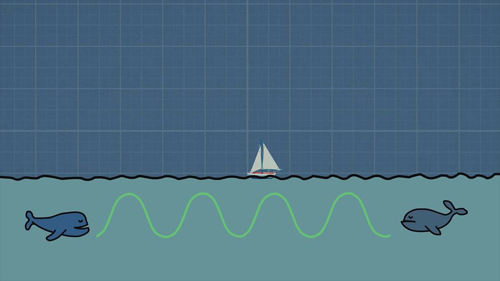 Light and sound - 2nd level Science - BBC Bitesize
