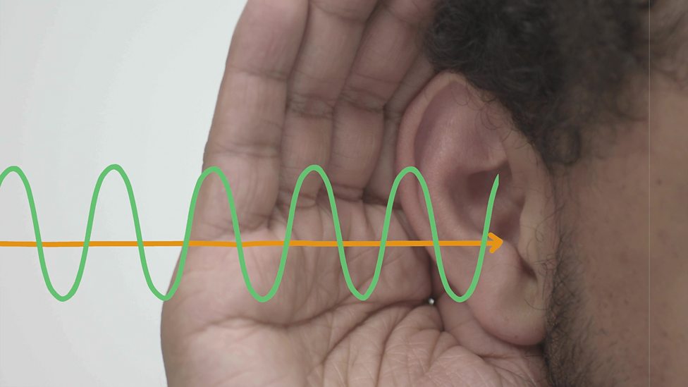 Light and sound - 1st level Science - BBC Bitesize