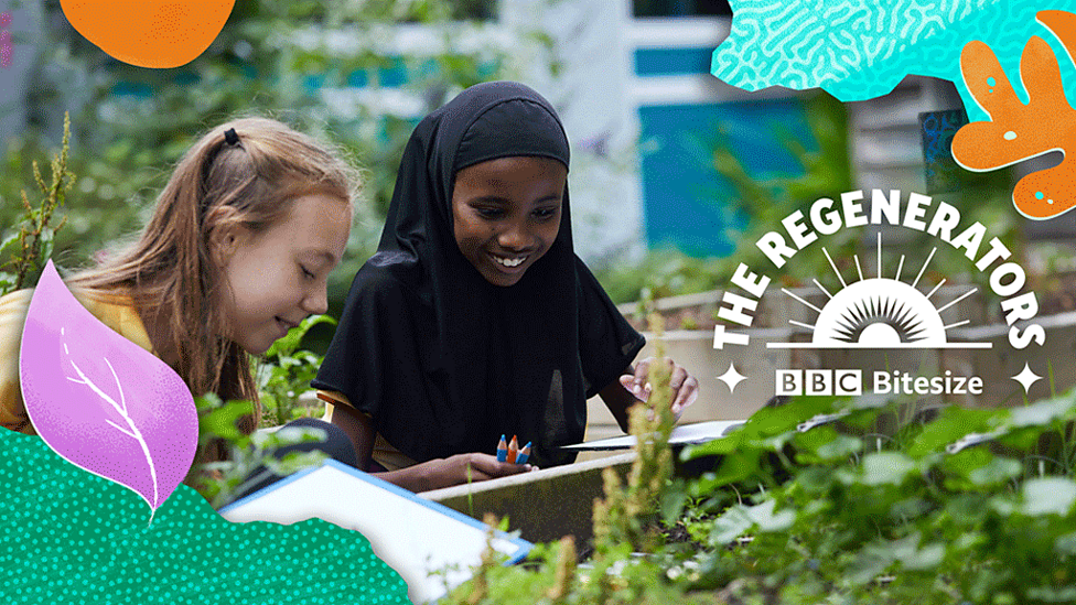 Let's go to the woods - EYFS - Reception - BBC Bitesize