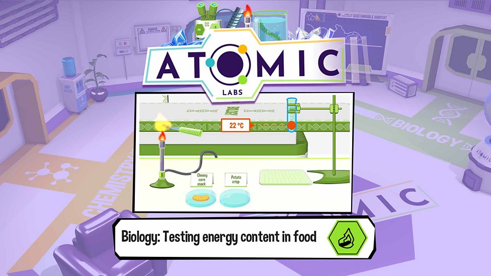 Food energy - Nutrition, digestion and excretion - KS3 Biology - BBC ...