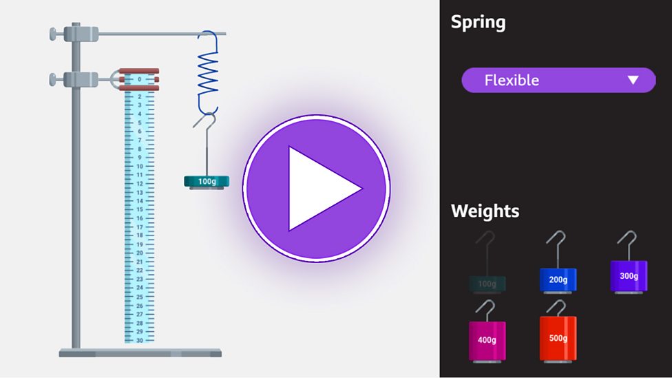 Hookes Law Forces And Movement Ks3 Physics Bbc Bitesize Bbc