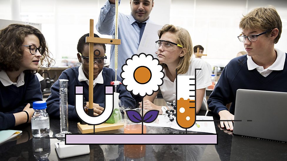 GCSE Combined Science exam 2023 revision support - BBC Bitesize