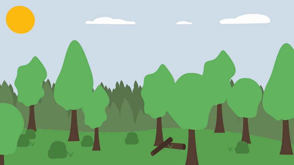 Climate change - Humanities Geography age 8-11 - BBC Bitesize