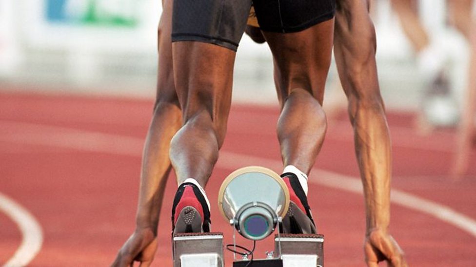 Bbc Bitesize What Are The Parts Of The Human Body at Antonio Baker blog