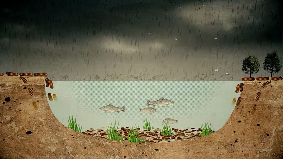 UK rivers case studies. Paul Whitehouse: Our Troubled Rivers. KS3/GCSE ...