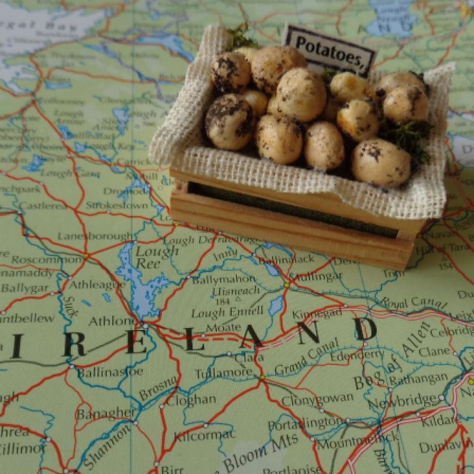 Famine and emigration - BBC Bitesize