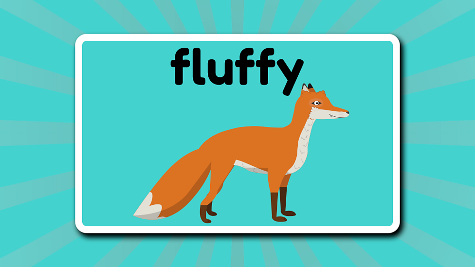 Amazing animals vocabulary – KS1 English curriculum - BBC Bitesize