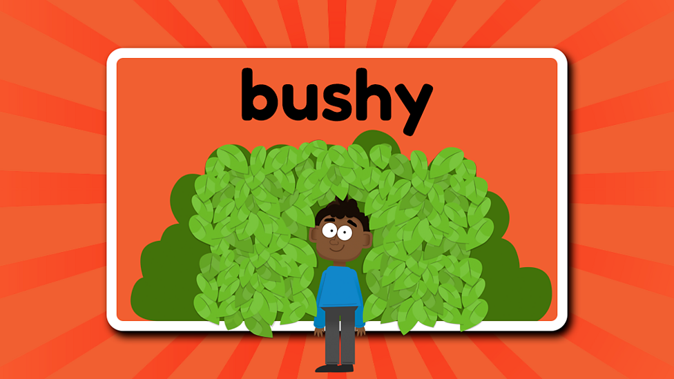 Amazing animals vocabulary – KS1 English curriculum - BBC Bitesize