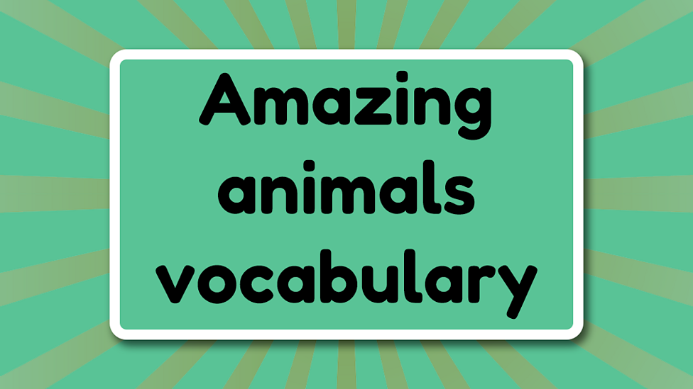 Amazing animals vocabulary – KS1 English curriculum - BBC Bitesize