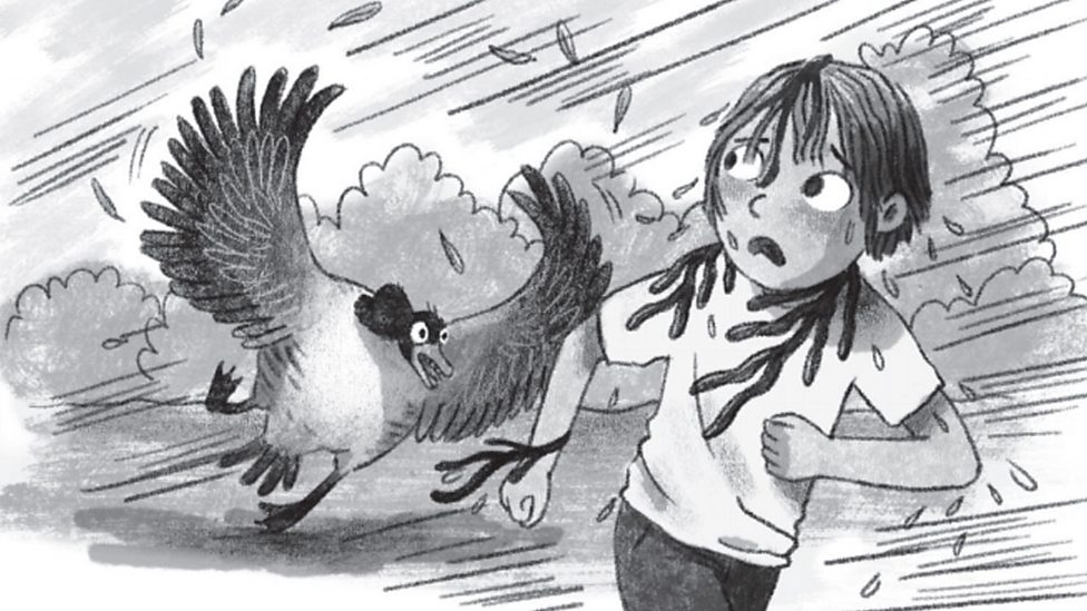 The Last Firefox - Blue Peter Book Club - BBC Bitesize