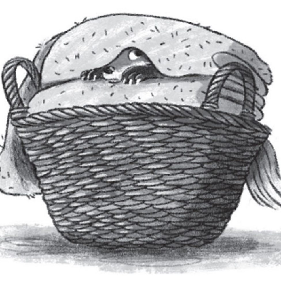 The Last Firefox - Blue Peter Book Club - BBC Bitesize