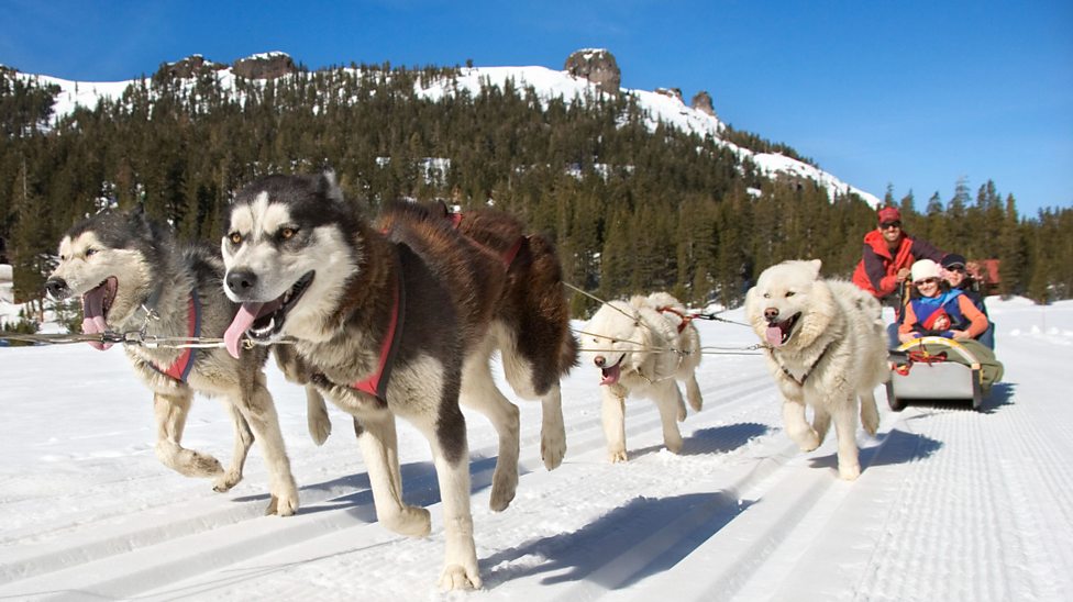 Four amazing means of transport from around the world - BBC Bitesize