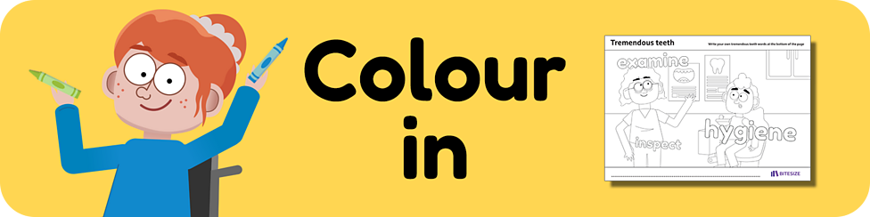 Tremendous teeth vocabulary – KS1 English curriculum - BBC Bitesize