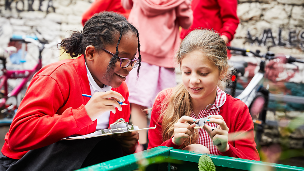 How To Compare Surface Temperatures Using The Bbc Micro Bit Bbc Teach