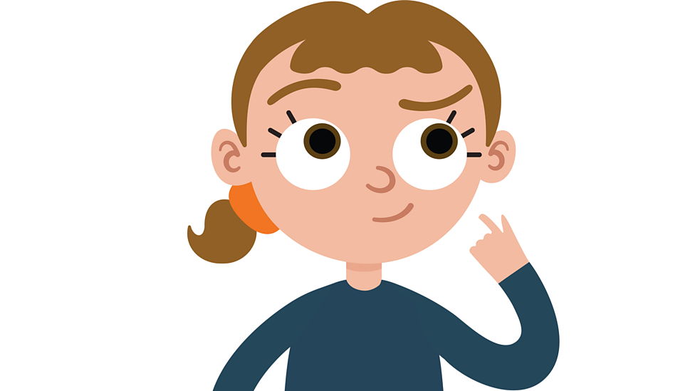 Using the four types of sentence - English - Learning with BBC Bitesize