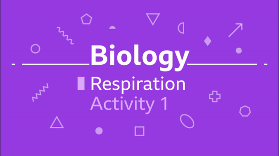 Bioenergetics - GCSE Combined Science - BBC Bitesize