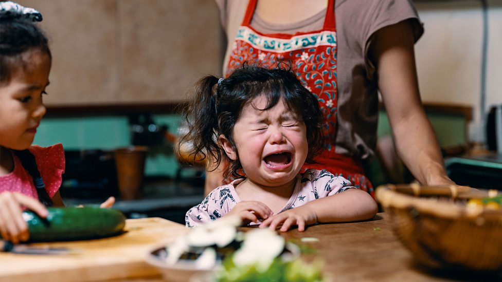 Negative forms - GCSE French - BBC Bitesize