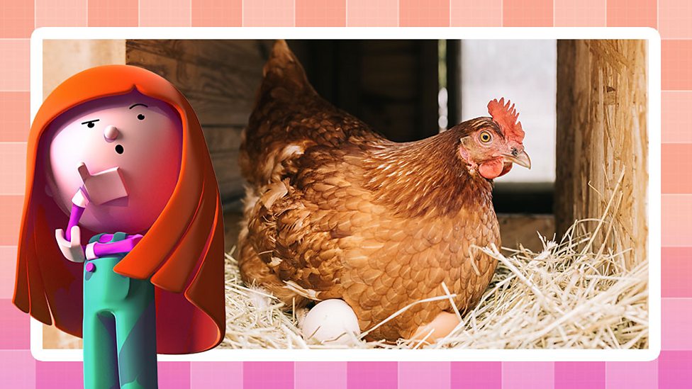 Year 2 Cooking and nutrition - Year 2 Design and Technology - BBC Bitesize