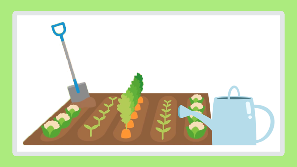 World Earth day | KS1 | Ages 5-7 - BBC Bitesize