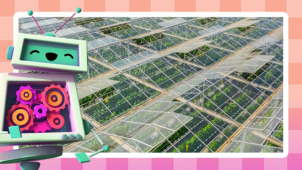 Food - KS2 | Ages 7-11 | Bitesize Primary Topic Packs - BBC Bitesize