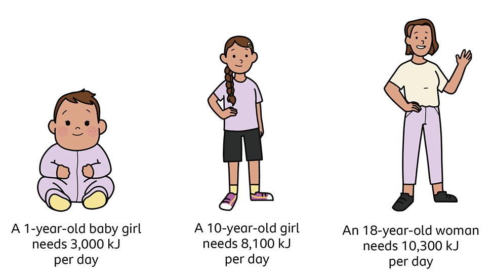 Why do people need energy? - KS2 - BBC Bitesize