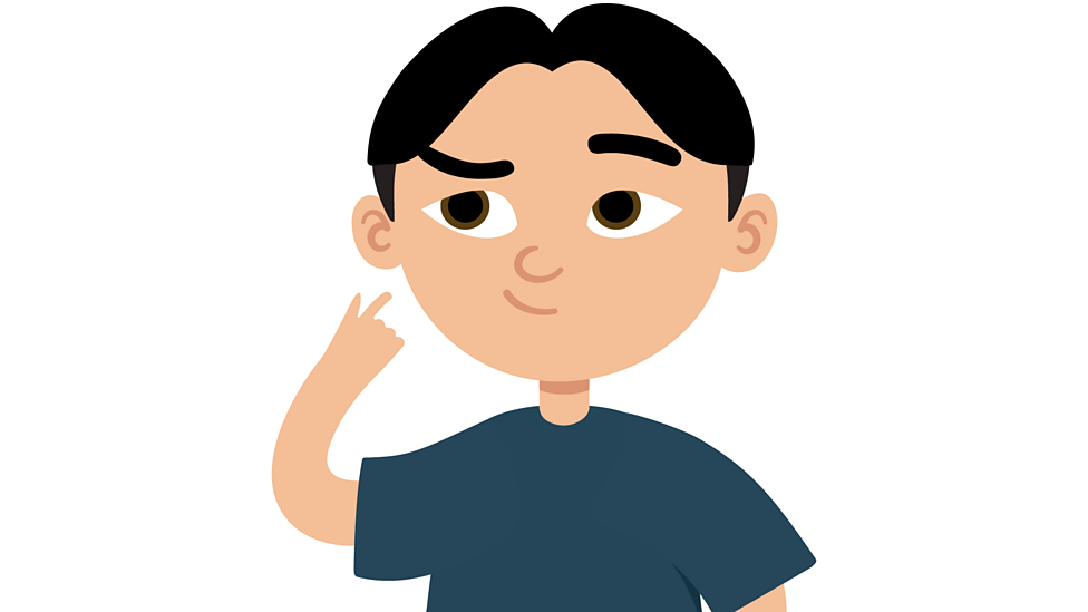 What is a pronoun? Definition and examples - BBC Bitesize