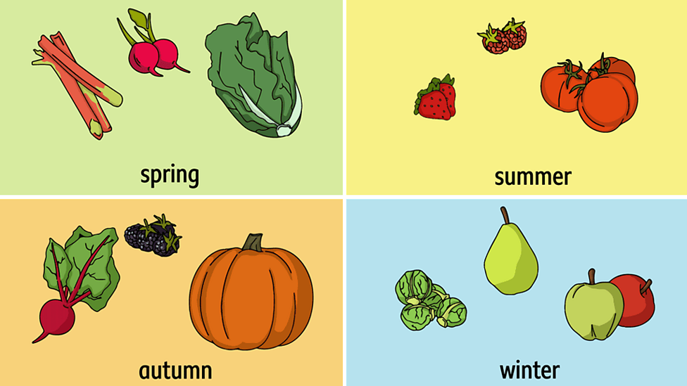What is seasonality? - KS2 - BBC Bitesize