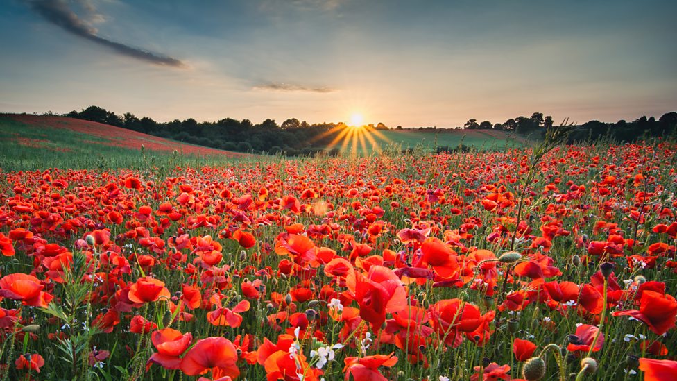 GCSE RS – Religion, Peace and Conflict – Christianity – AQA - BBC Bitesize