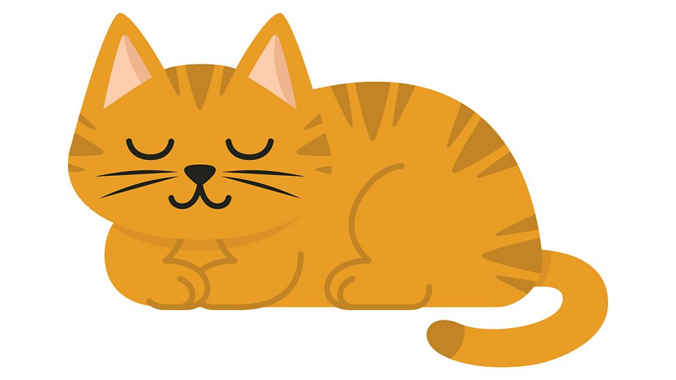 Rhyming poetry - English - Learning with BBC Bitesize