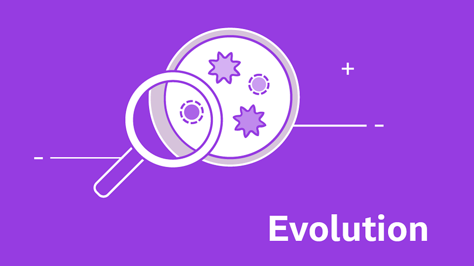 Inheritance, variation and evolution - GCSE Biology (Single Science ...