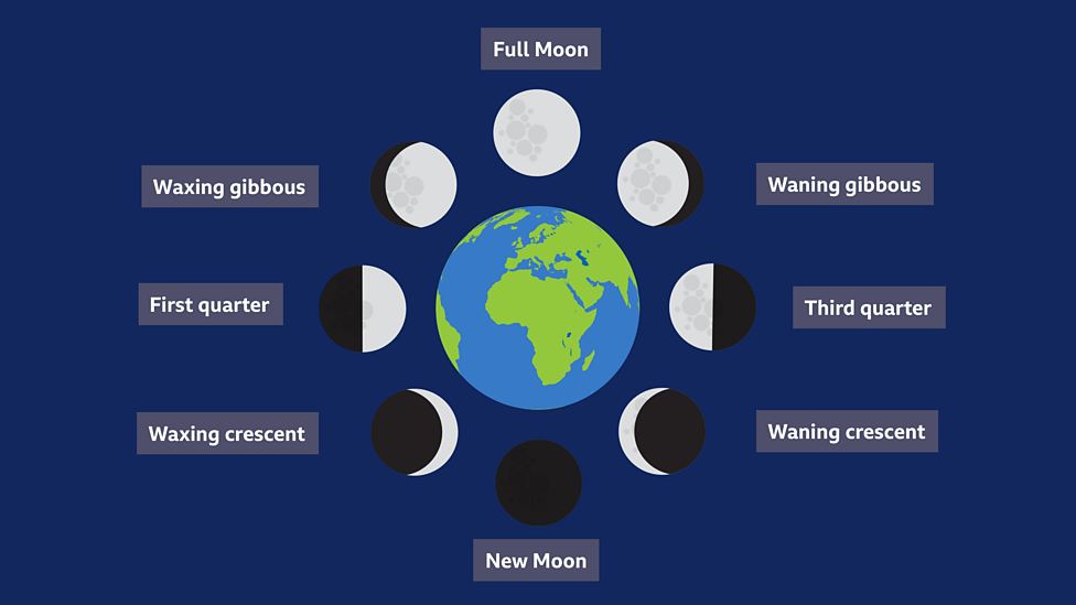 Phases of the Moon - BBC Bitesize