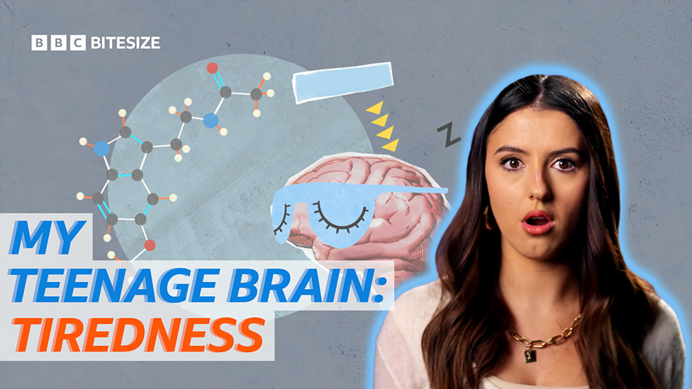 The teenage brain: How you and your child can understand the changes ...