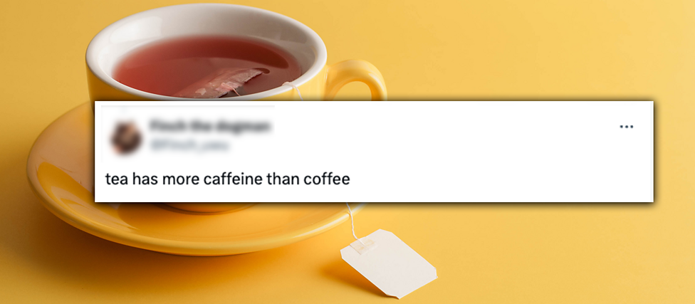 Spilling the tea on the truth about tea - BBC Bitesize