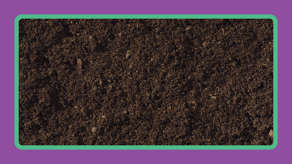 What is soil made from? – KS2 Science curriculum - BBC Bitesize