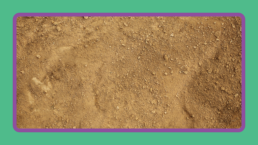What is soil made from? – KS2 Science curriculum - BBC Bitesize