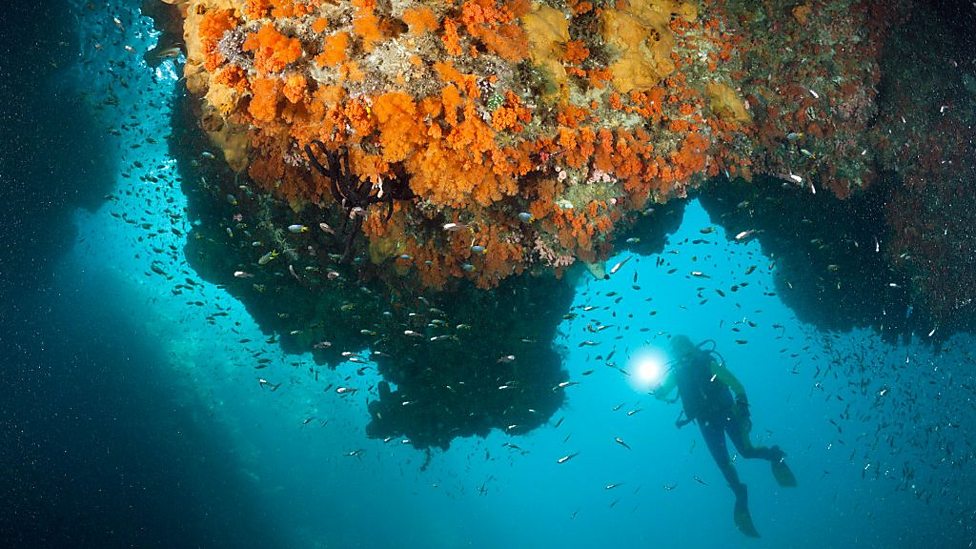 Four climate efforts that could deliver big wins - BBC Bitesize