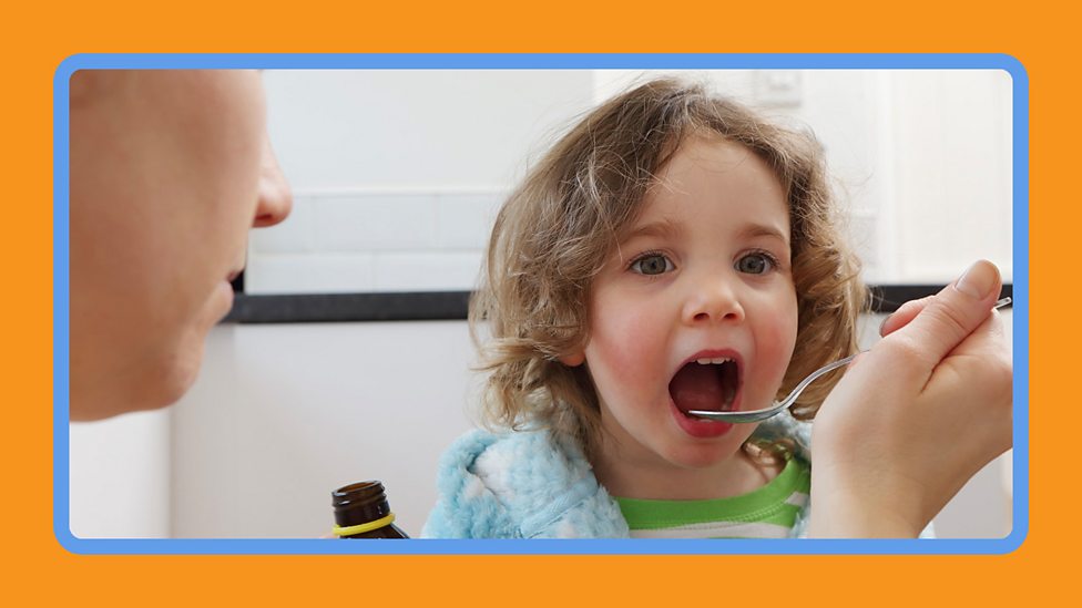 The effects of diet, exercise and drugs – KS2 Science curriculum - BBC ...