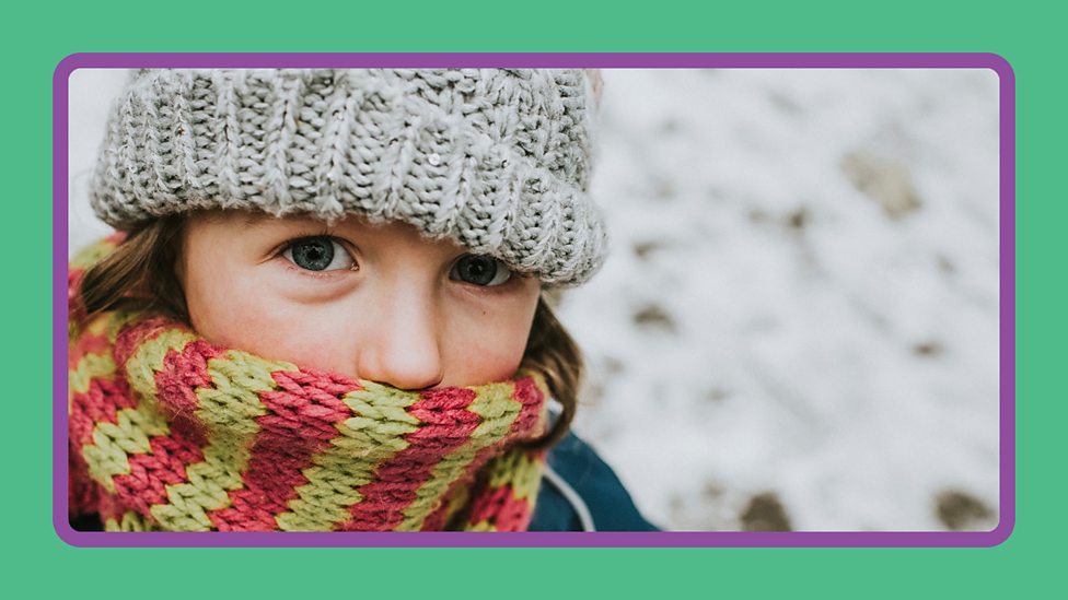 Why is it made from that? – KS1 Science curriculum - BBC Bitesize